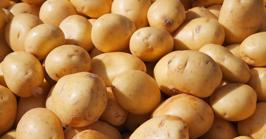 როდისაა სასარგებლო კარტოფილი და როდის მომწამვლელი?