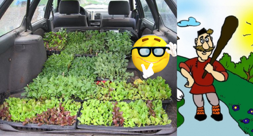 „ქმარს ომბალო დავაბარე და რა მომიტანა...“ − სახალისო ისტორები, რომლებიც ...