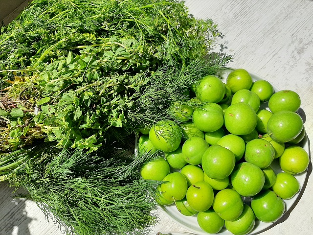 როგორ შევინახოთ ტყემალი ხარშვისა და გაყინვის გარეშე – რჩევები ...