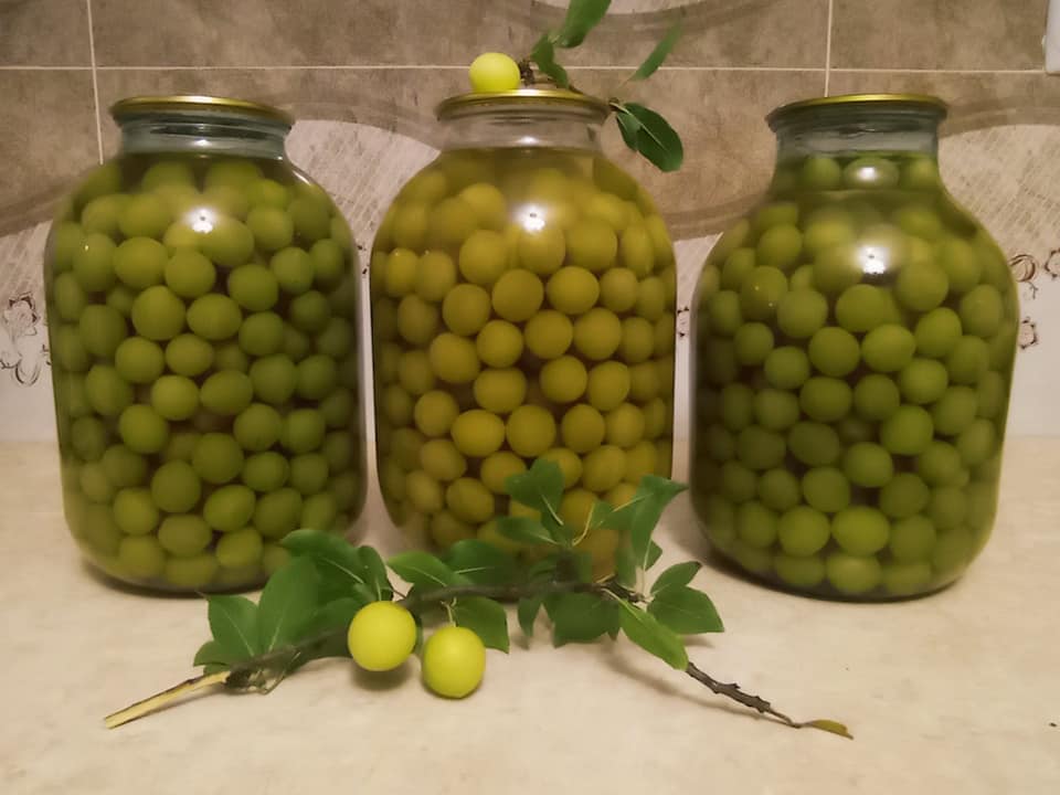 ასე შენახული ტყემალი იდეალურია საწებლისთვის - Gemrielia.ge