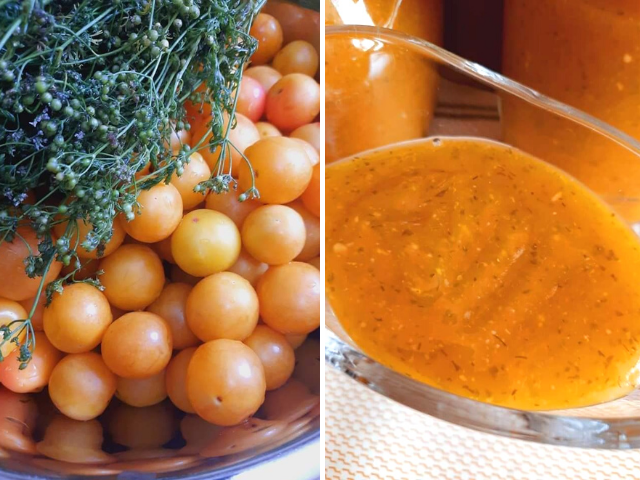 ჩემი ფავორიტი - ყვითელი ტყემალი (ქეთი ხმალაძის რეცეპტი) - Gemrielia.ge