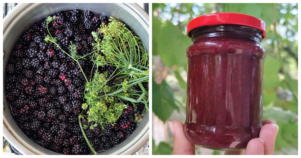 „მაყვლის საწებელი არის ცხონება“ - საოცრად გემრიელი საწებლის რეცეპტი ...