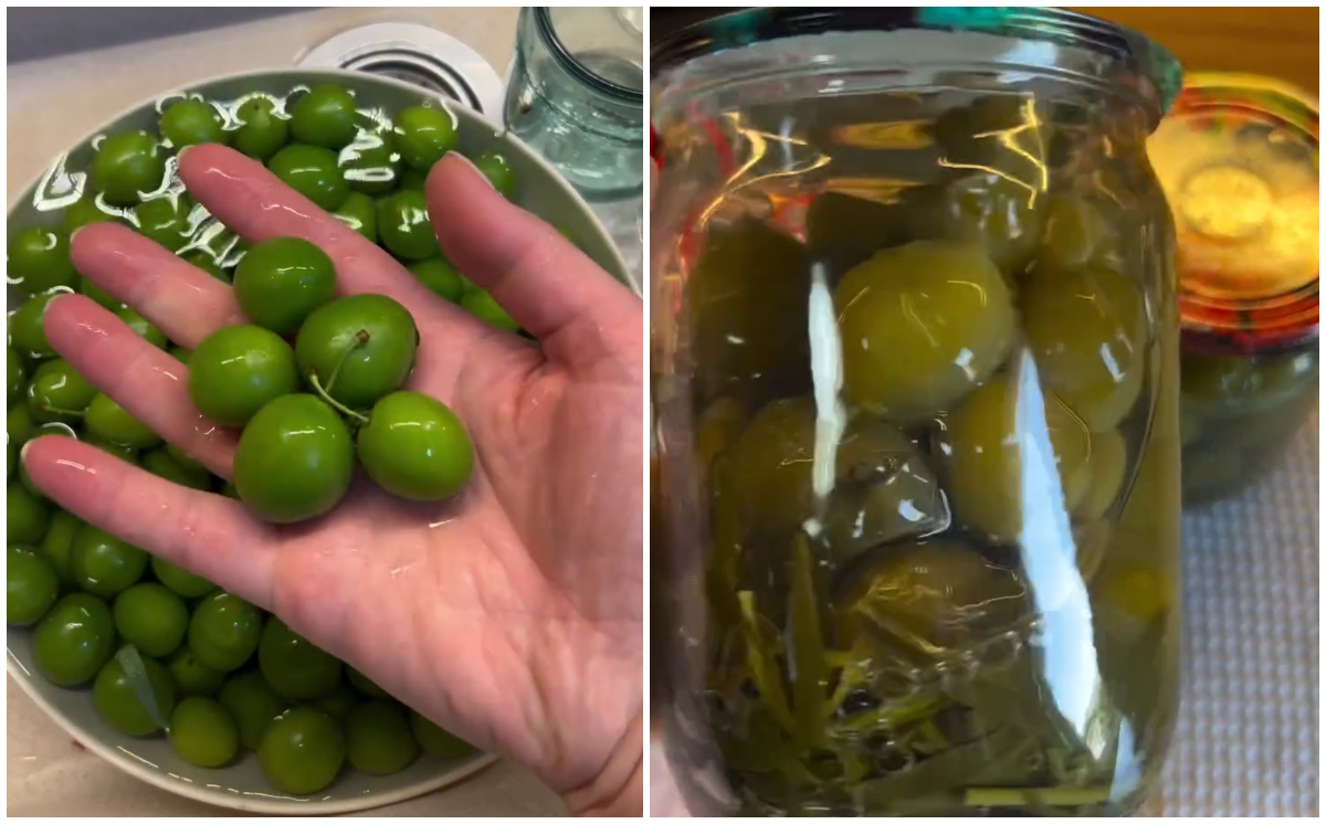 "წლებია ამ მეთოდით ვინახავ ტყემალს, ზამთარში კი ნებისმიერ დროს შემიძლია ...