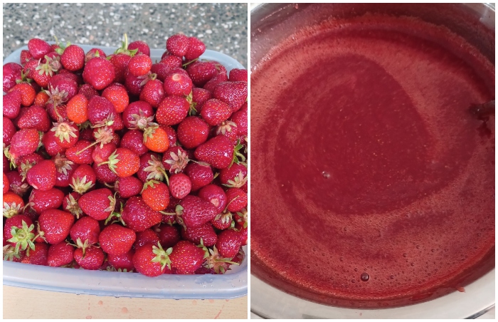 როგორ შევინახოთ მარწყვი ზამთრისთვის? - გამოცდილი დიასახლისის მეთოდი ...