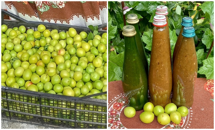 როგორ შევინახოთ მწვანე ტყემალი ზამთრისთვის? – მარტივი რეცეპტი გამოცდილი ...